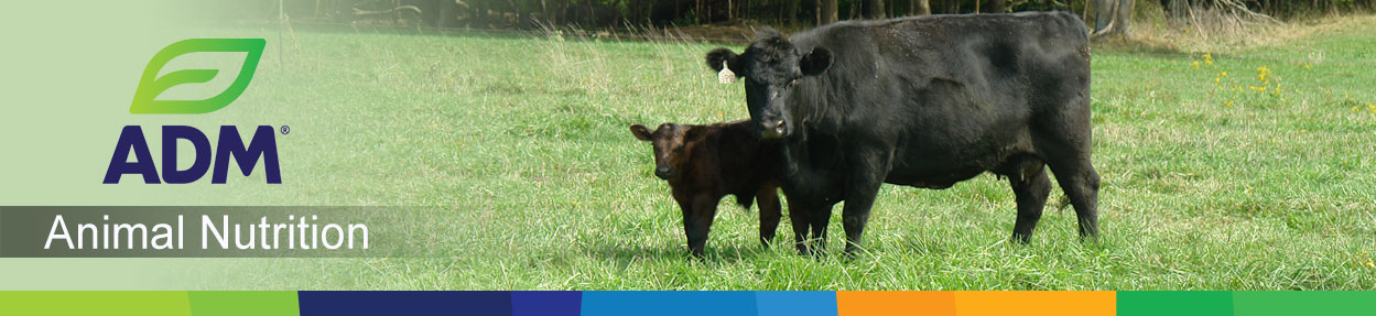 ADM Seasonal Beef Range Minerals