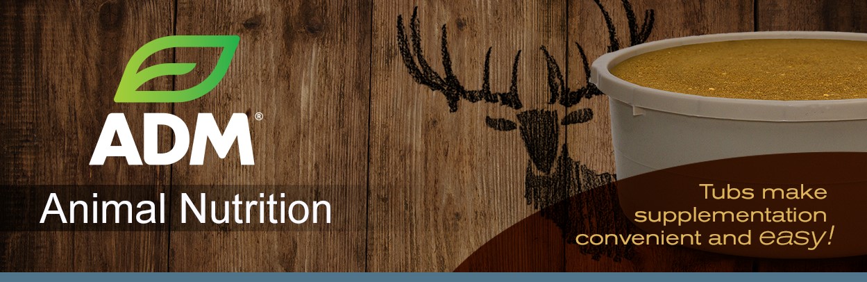 Deer/Elk