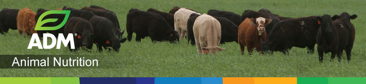 Cellarator Turbo Drench