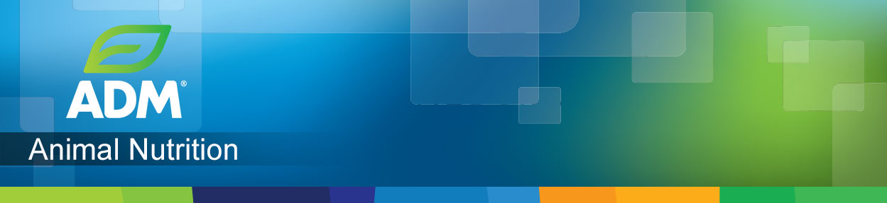 ADM Legacy Ingredients