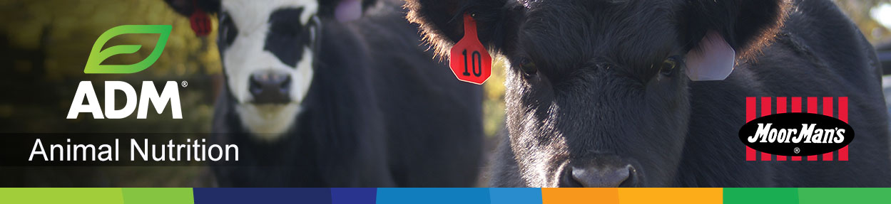 MoorMan’s® Range Minerals