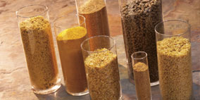 Specialty Ingredients