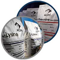 Amino Acids