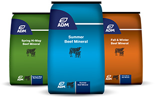 ADM Seasonal Beef Range Minerals