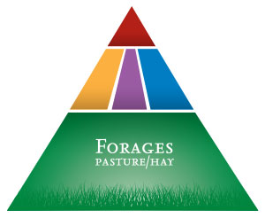 Forage First Overview